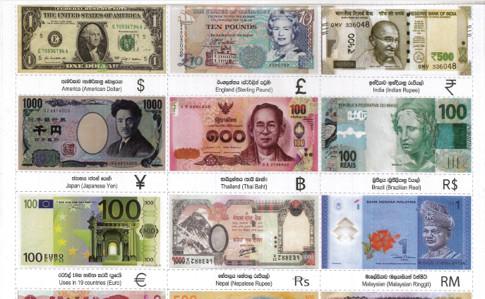 Rupakola picture රැප කොළ || Image leaves || 500 Download PDF | A3BOOk